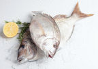 Fresh Seafood Porgies - Whole, 1 pound