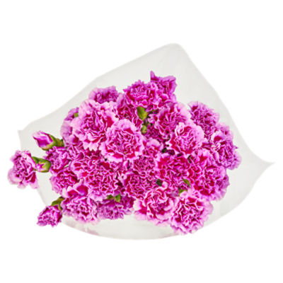 Mini Carnation Bunch - ShopRite