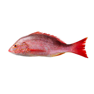 Fresh Wild Caught Red Snapper - Fairway