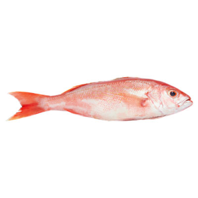 Fresh Wild Caught Red Snapper - Fairway