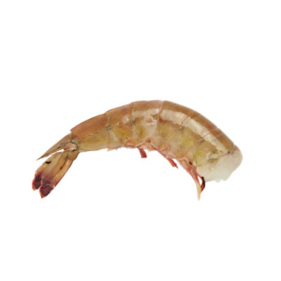 Fresh Jumbo Domestic Shrimp