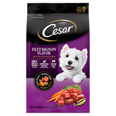 CESAR Small Breed Dry Dog Food Filet Mignon Flavor with Spring ...