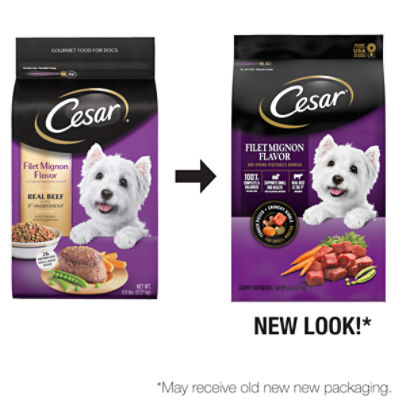 Is Cesar Dry Dog Food Good For My Dog