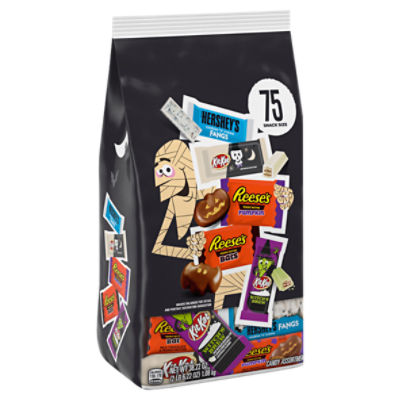Hershey Assorted Milk Chocolate and Creme Flavors Snack Size Halloween ...