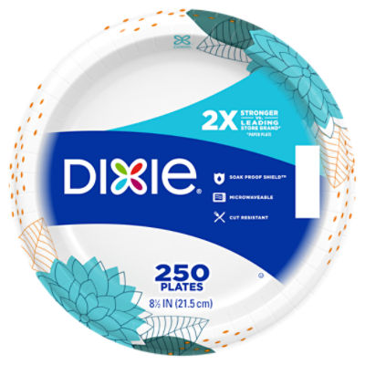 DIXIE® EVERYDAY PRINTED PAPER PLATES, 8 1/2 IN PLATES, 250CT