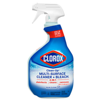 Clorox Clean-Up Multi-Purpose Rain Clean Cleaner + Bleach, 32 fl oz ...