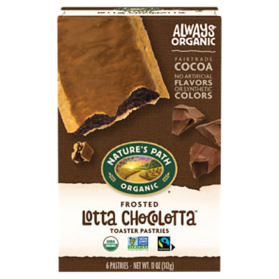 Nature's Path Lotta Chocolotta Frosted Toaster Pastries, 11 oz - ShopRite
