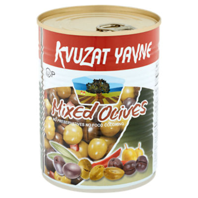 Kvuzat Yavne Mixed Olives, 19 oz
