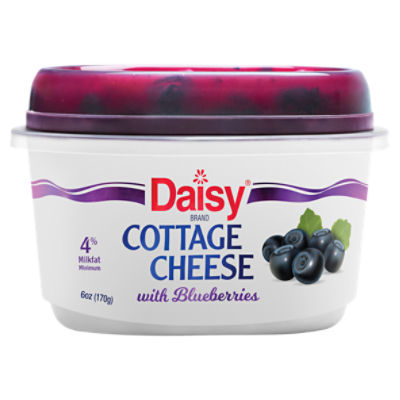 Daisy Cottage Cheese with Blueberries, 6 oz - ShopRite