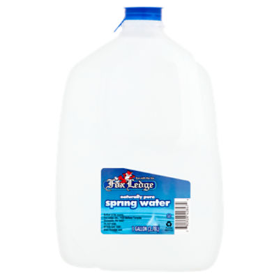 Fox Ledge Naturally Pure Spring Water, 1 Gallon - ShopRite