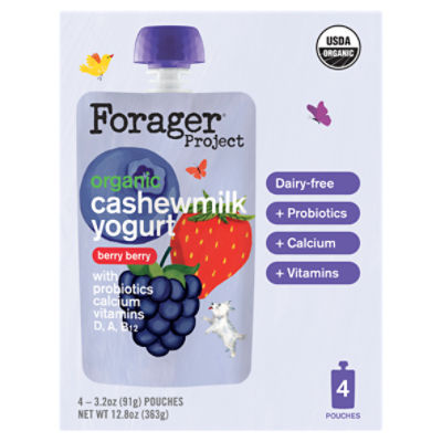 Forager Project Organic Berry Berry Cashewmilk Yogurt, 3.2 oz, 4 count