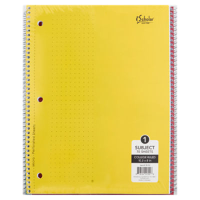iScholar New York 1 Subject College Ruled Notebook, 70 sheets