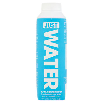 JUST Water 100% Spring Water, 16.9 fl oz - Fairway