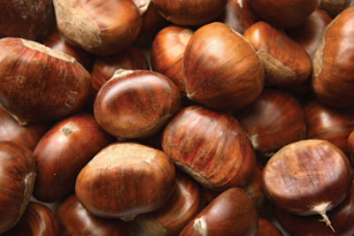 Fresh Chestnuts, 1 pound