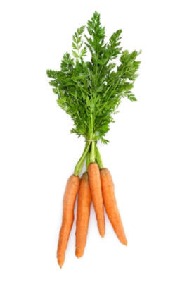 Fresh Carrots, 1 pound